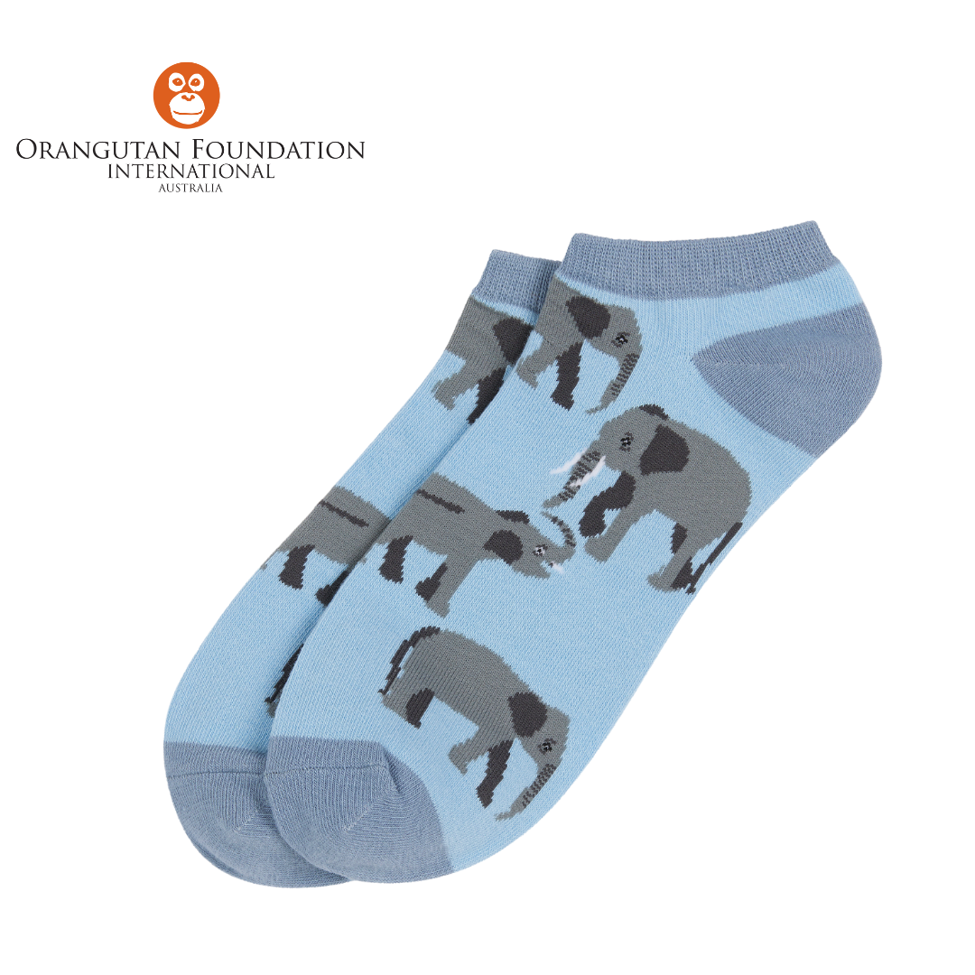 Pygmy Elephant Ankle Sock | Socks that Give Back – Sydney Sock Project