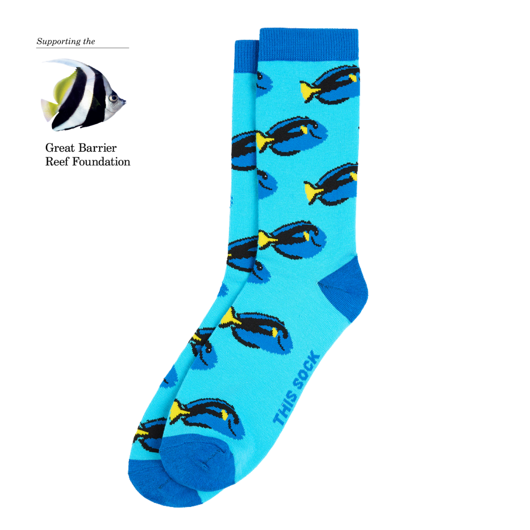 Regal Blue Tang Sock | Protecting Our Reefs – Sydney Sock Project