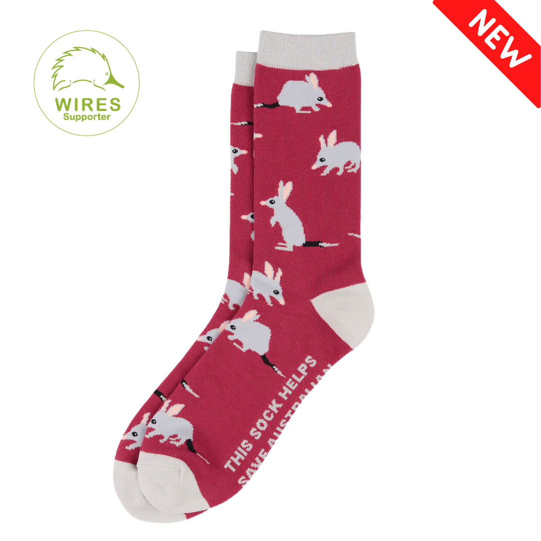 Bilby Sock | Supporting WIRES – Sydney Sock Project