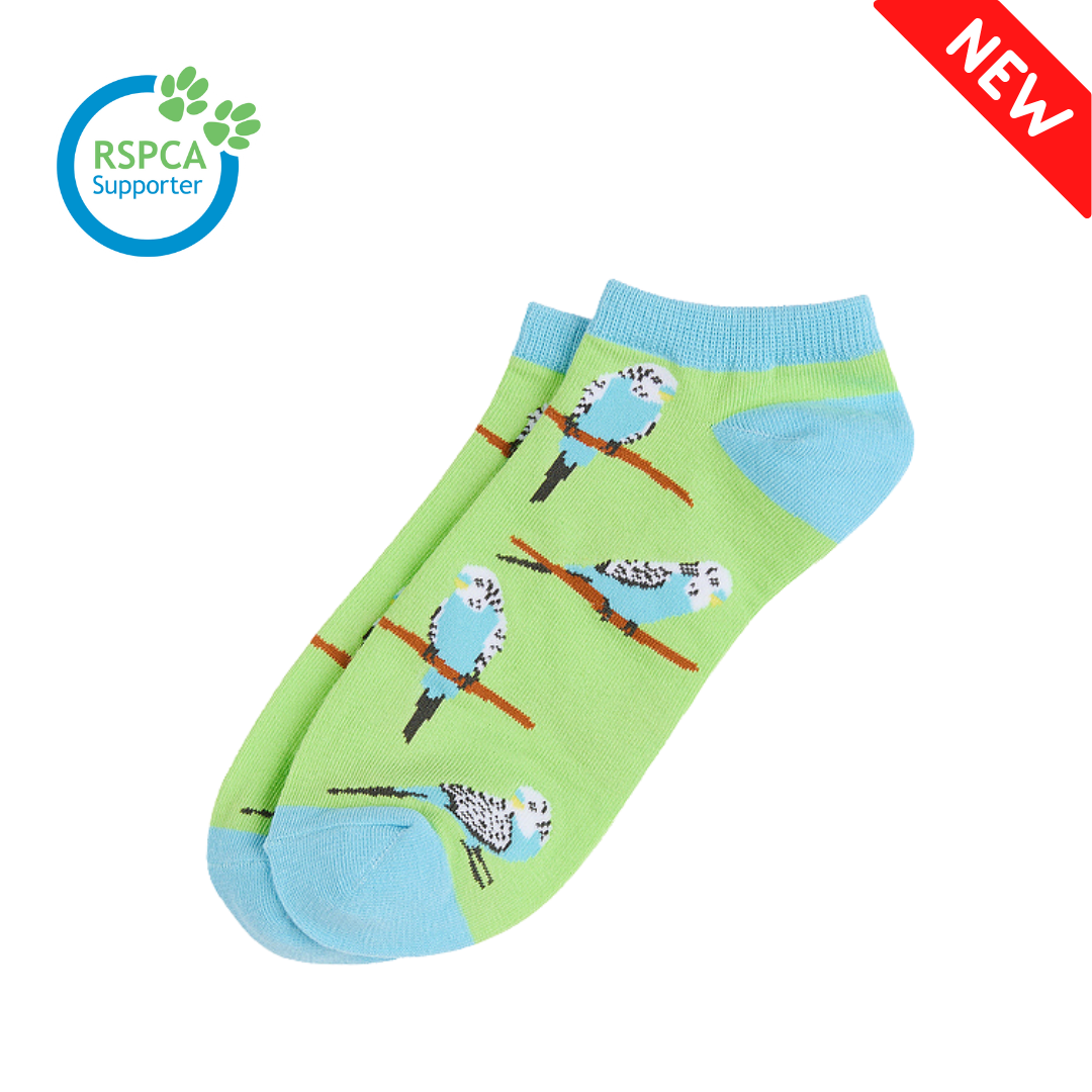 Budgie Ankle Sock | Sydney Sock Project