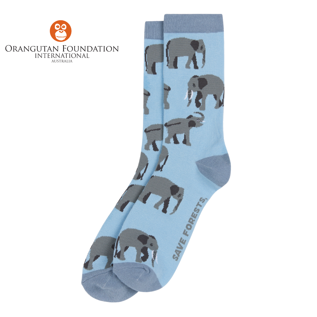 Pygmy Elephant Sock | Socks that Give Back – Sydney Sock Project