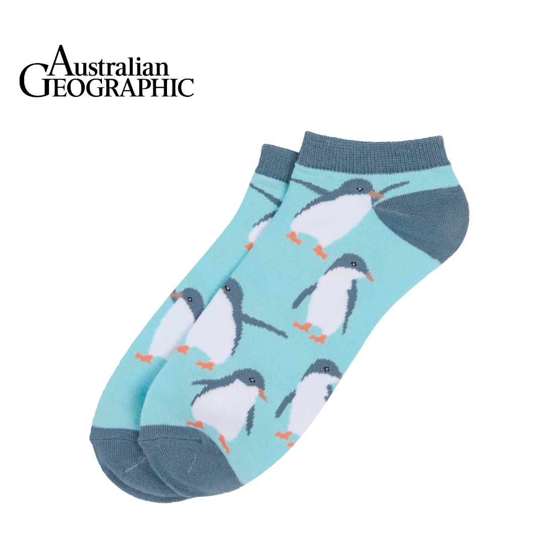 Fairy Penguin Ankle Sock | Socks That Give Back – Sydney Sock Project