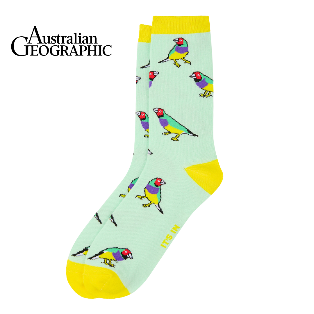 Gouldian Finch Sock | Socks that Give Back – Sydney Sock Project
