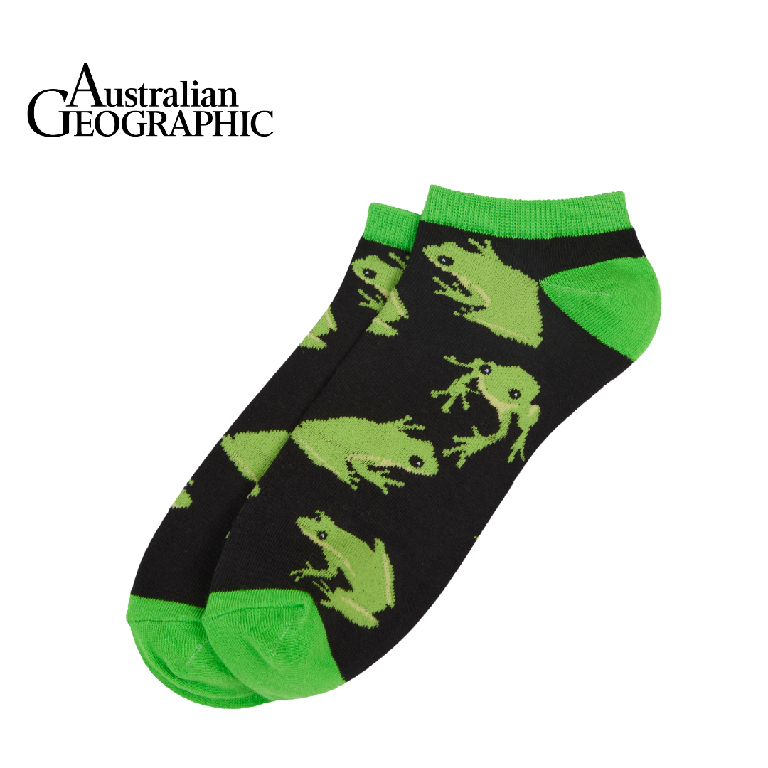 Green Tree Frog Ankle Sock | Socks That Give Back – Sydney Sock Project