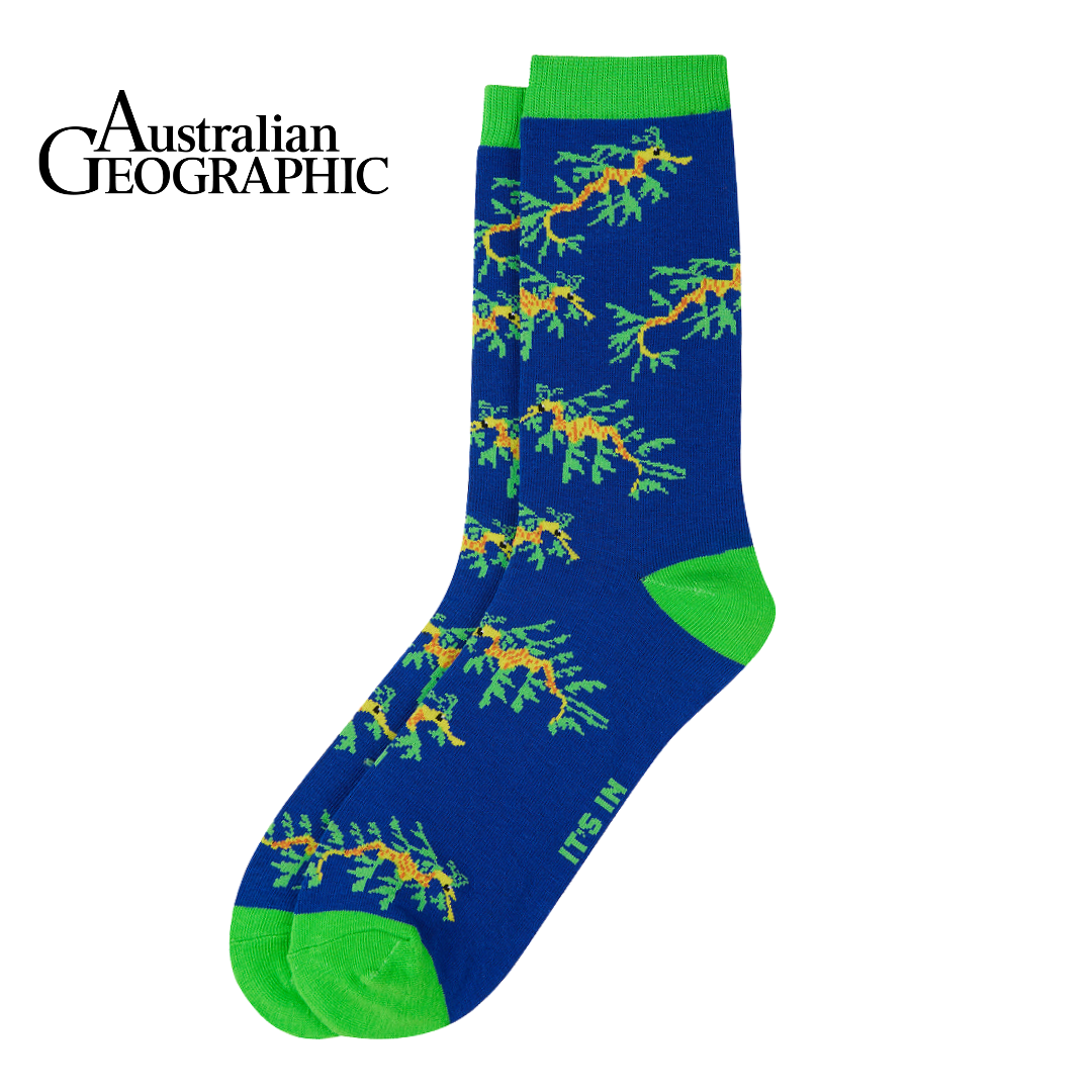 Leafy Sea Dragon Sock | Socks that Give Back – Sydney Sock Project