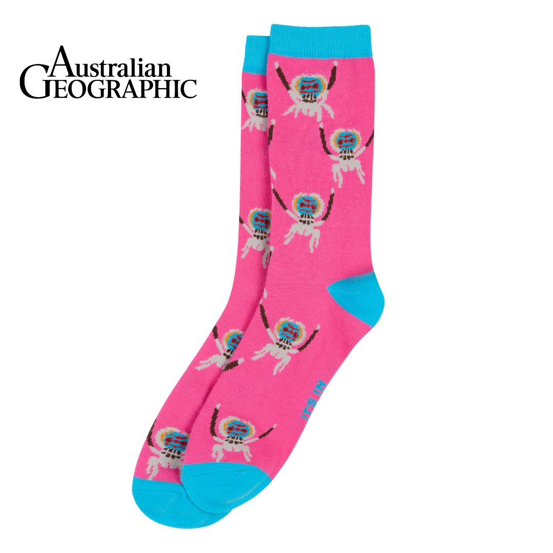 Peacock Spider Sock | Socks that Give Back – Sydney Sock Project