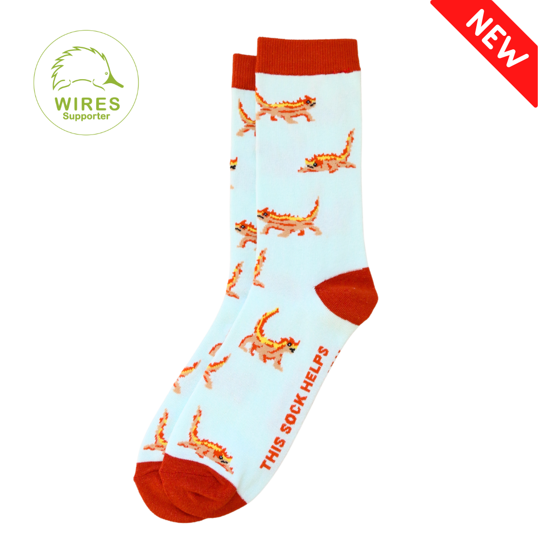 Thorny Devil Lizard Sock | Supporting WIRES – Sydney Sock Project