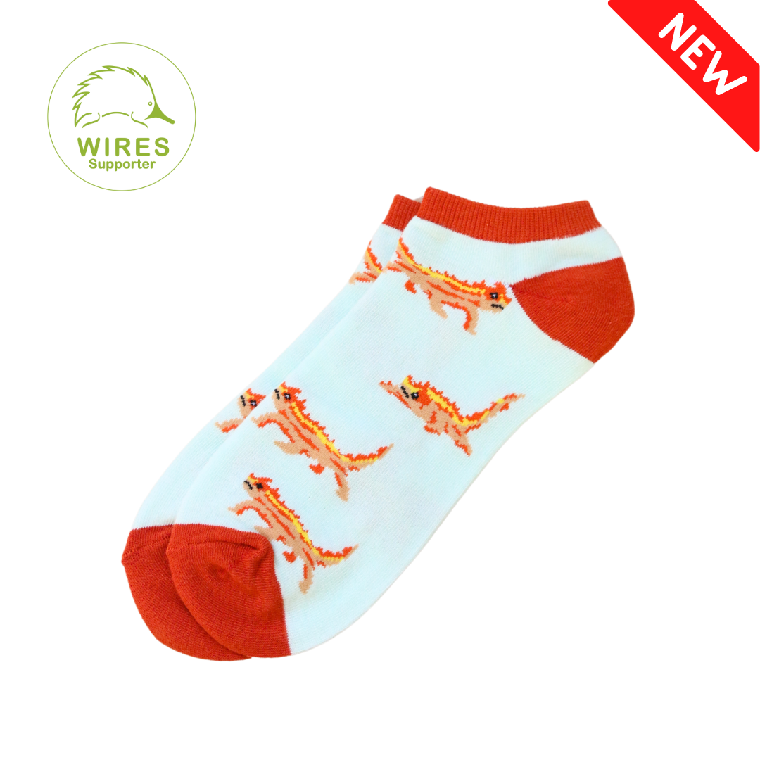 Thorny Devil Lizard Ankle Sock | Supporting WIRES – Sydney Sock Project