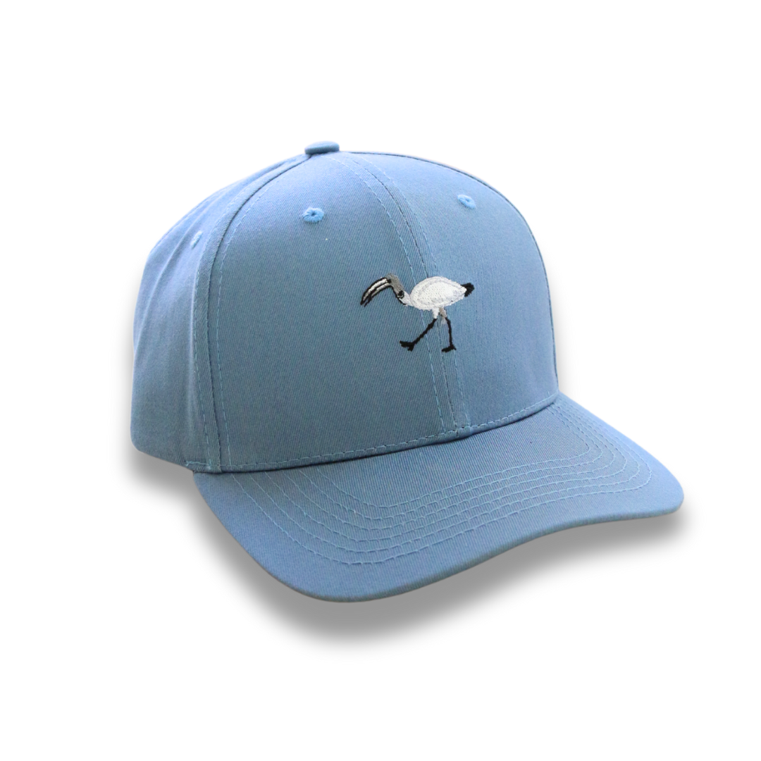 FREE Bin Chicken Cap – Sydney Sock Project