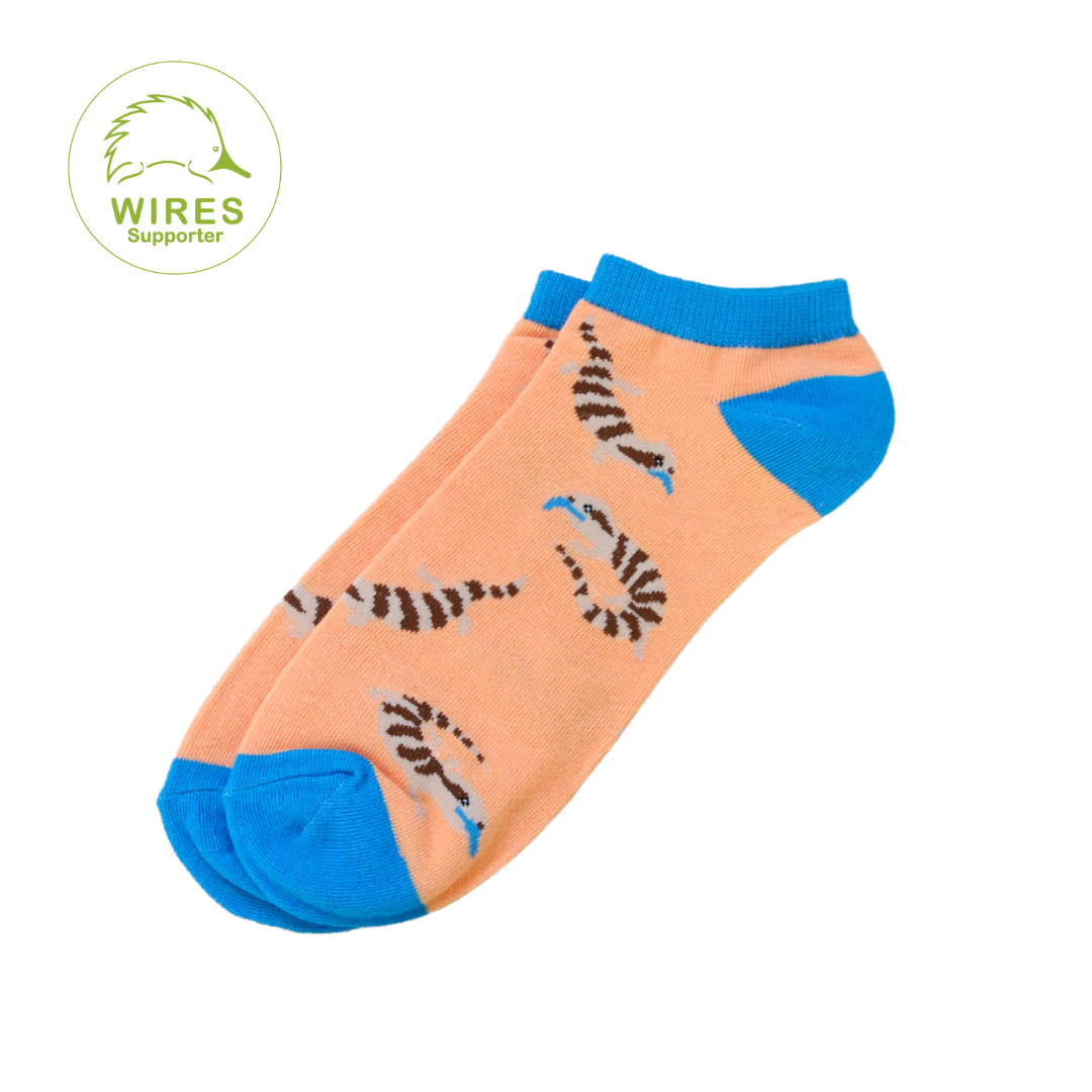 Blue Tongue Lizard Ankle Sock | Supporting WIRES – Sydney Sock Project