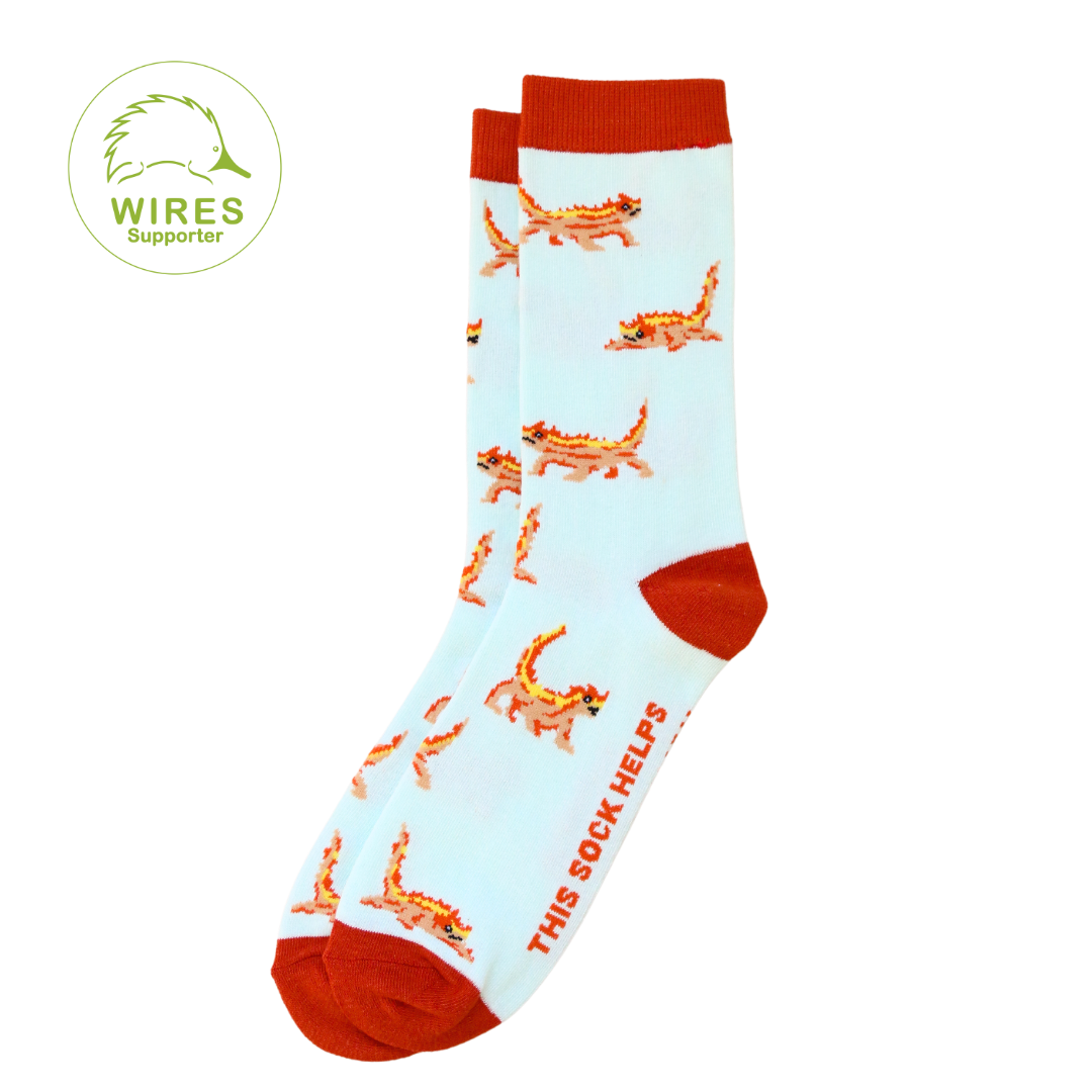 Thorny Devil Lizard Sock | Supporting WIRES – Sydney Sock Project