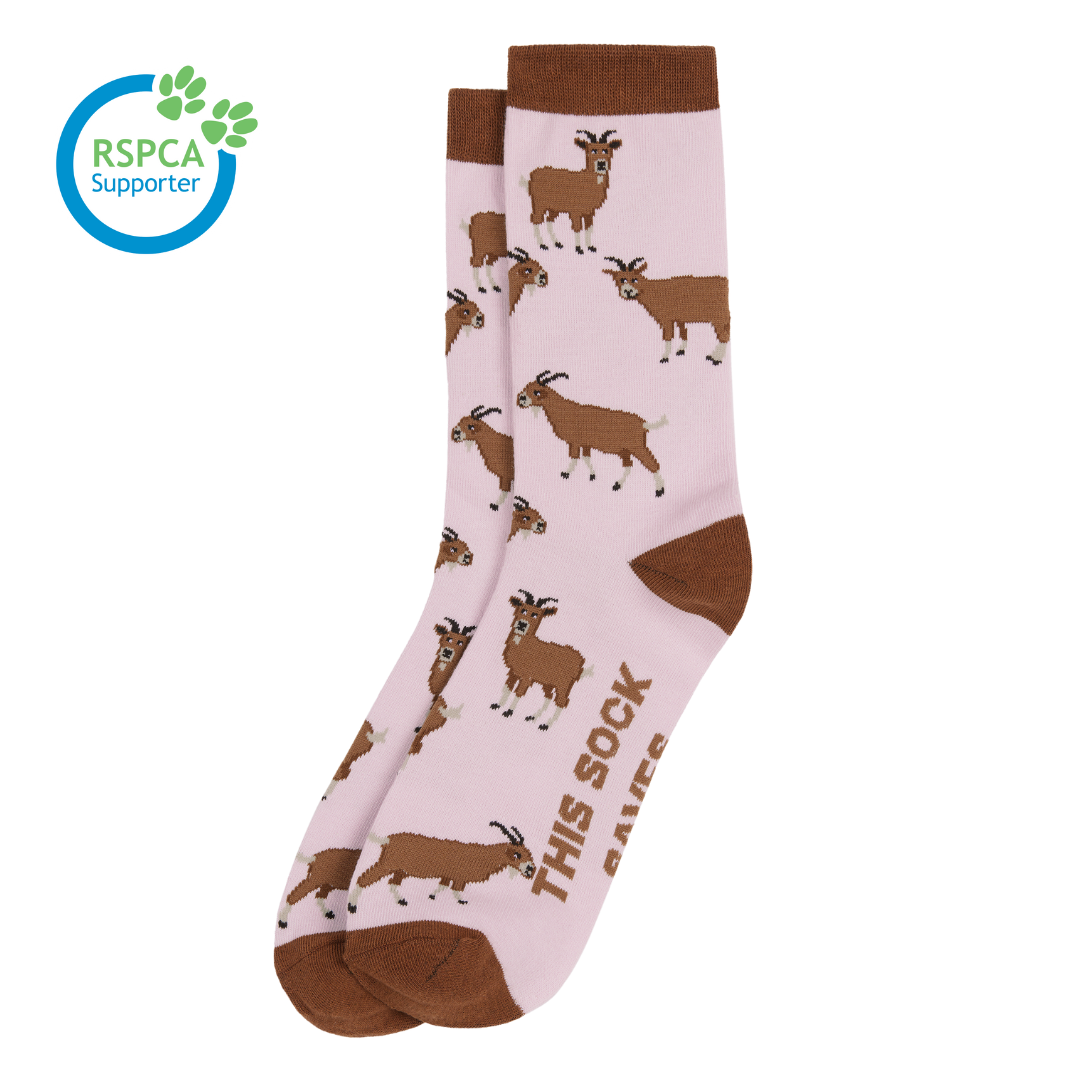 Goat Sock | Sydney Sock Project