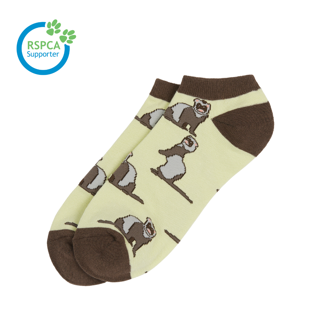 Ferret Ankle Sock | Sydney Sock Project