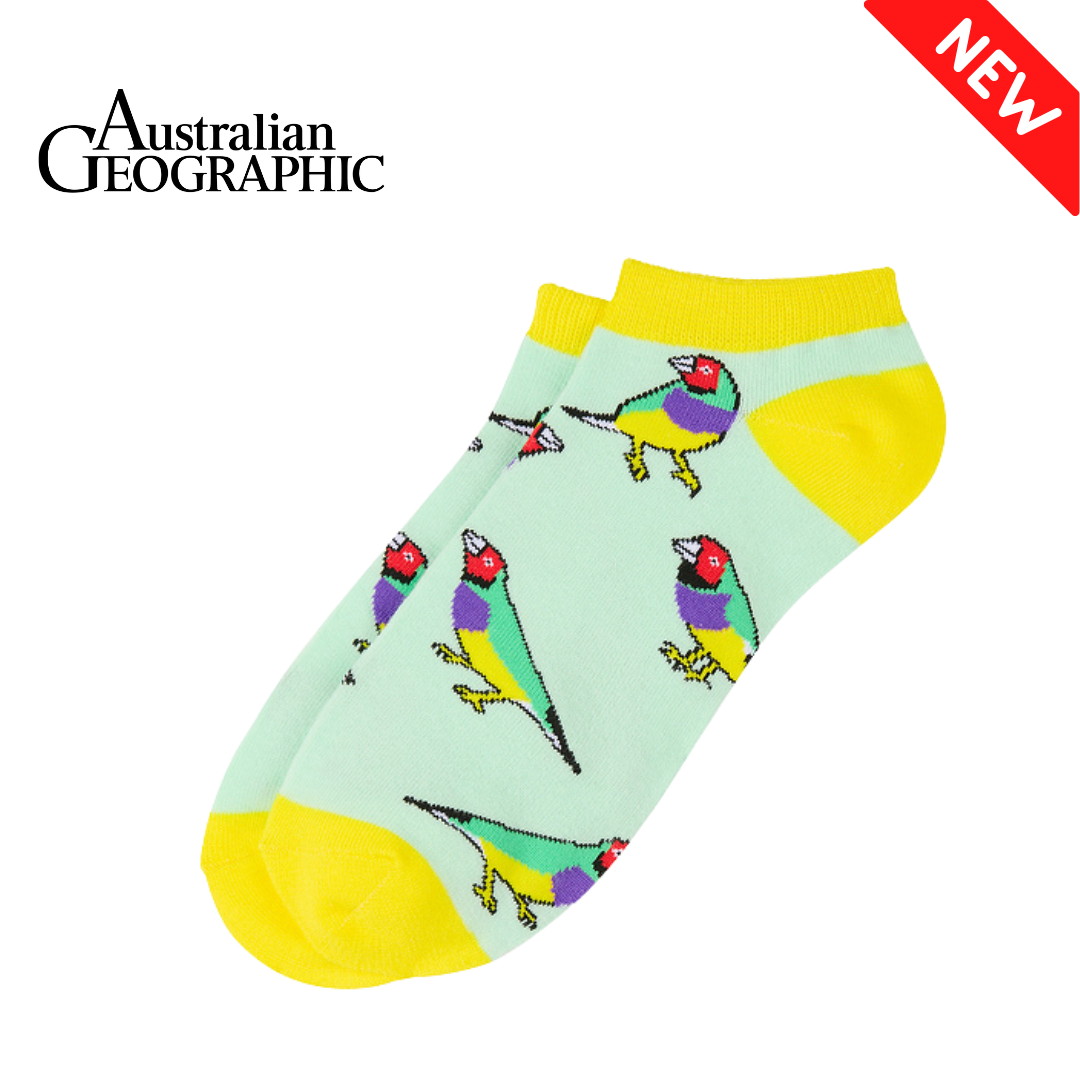 Gouldian Finch Ankle Sock | Socks That Give Back – Sydney Sock Project