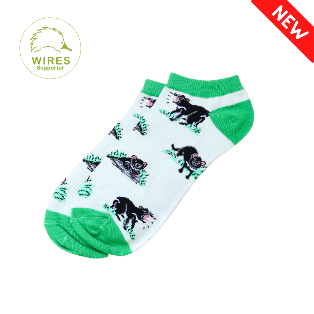 Tasmanian Devil Ankle Sock | Supporting WIRES – Sydney Sock Project