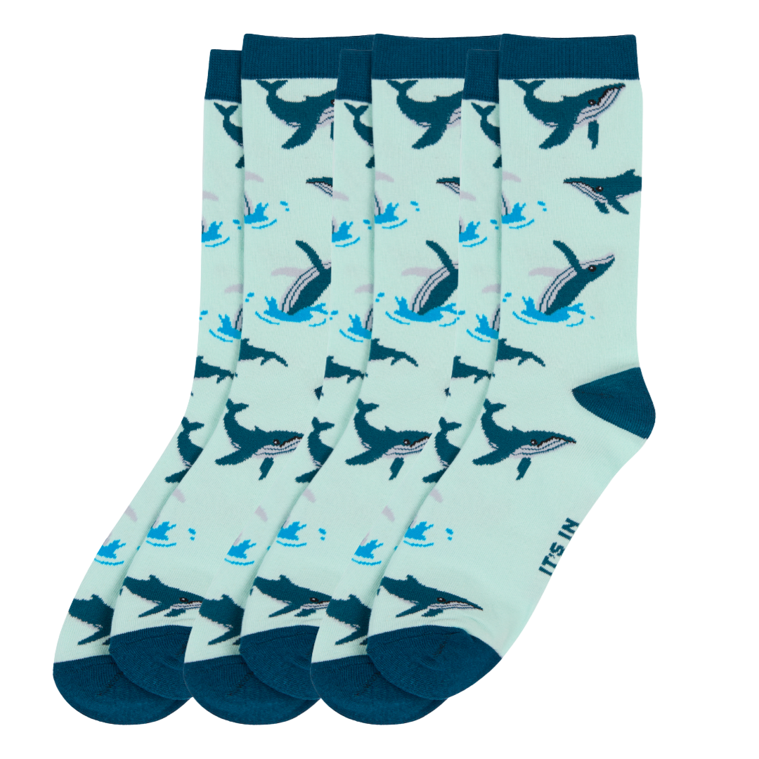 Humpback Whale Sock Bundle (3 x pairs) – Sydney Sock Project