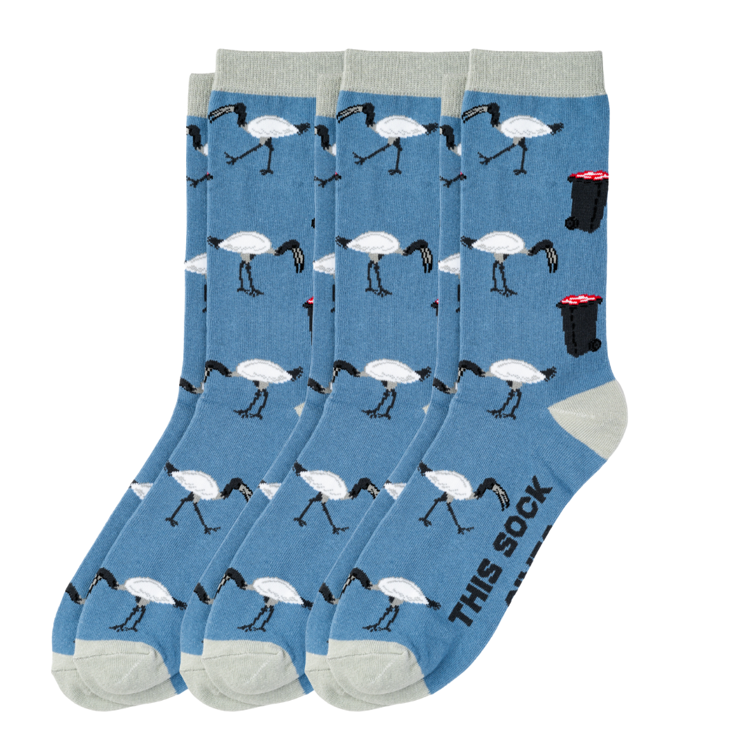 Bin Chicken Sock Bundle (3 x Pairs) – Sydney Sock Project