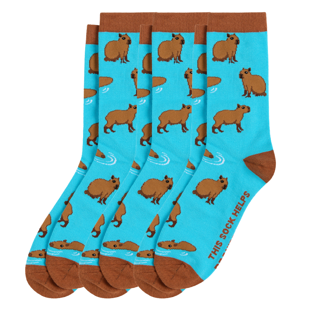 Capybara Sock Bundle (3 x pairs) – Sydney Sock Project