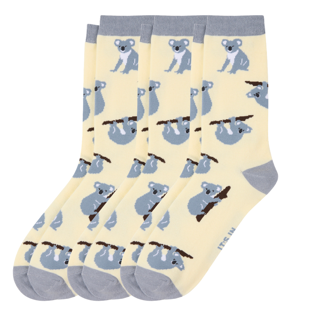 Koala Sock Bundle (3 x pairs) – Sydney Sock Project