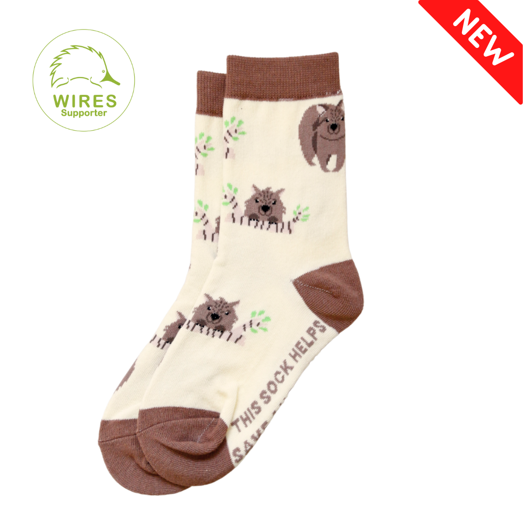Wombat KIDS Sock | Supporting WIRES – Sydney Sock Project