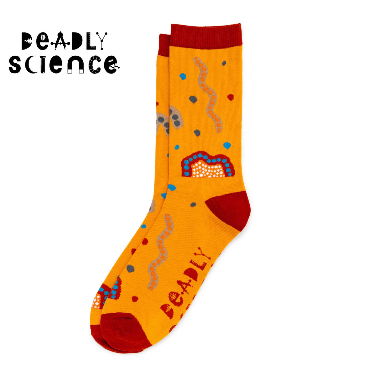 Care For Our Country Sock | Deadly Science – Sydney Sock Project